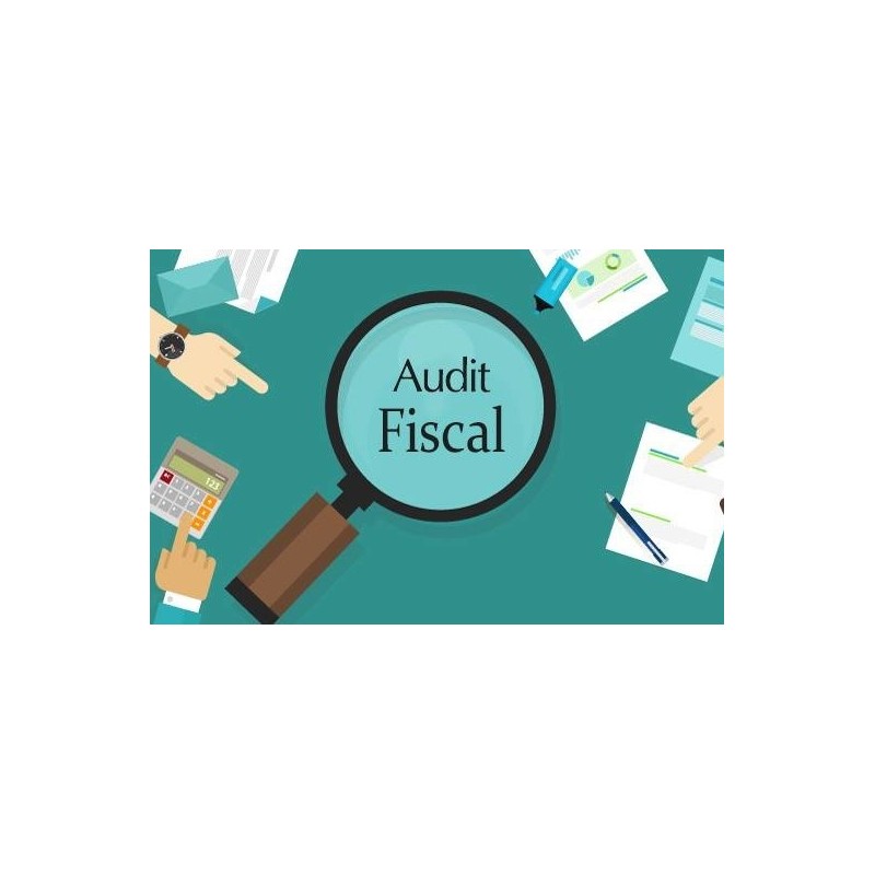 Audit et gestion fiscal : méthodologie et aspects pratiques